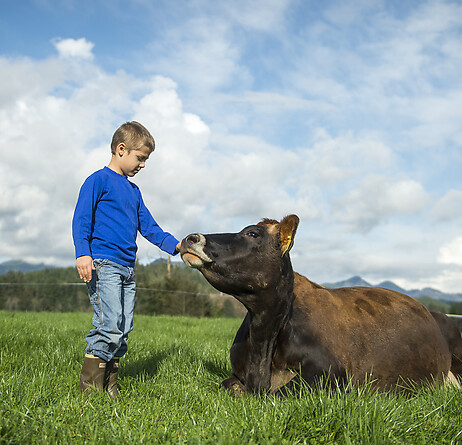 Boardman Clark | Madison, Wisconsin law firm - Attorneys serving…